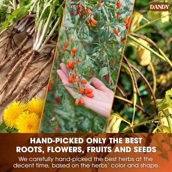 Dandelion Wolfberry Tea – Dandy Superfoods